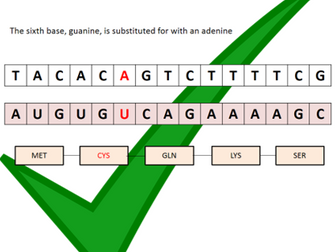 OCR A-level Biology Module 6 REVISION LESSONS | Teaching Resources