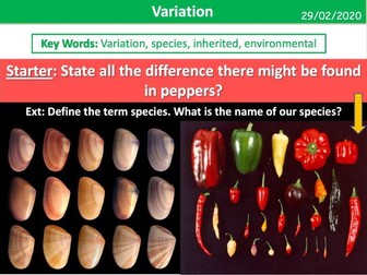 Adaptation and Inheritance (Activate KS3) | Teaching Resources