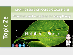 IGCSE Biology 9-1 - 2e Nutrition - Flowering Plants | Teaching Resources