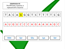Gene mutations (CIE International A-level Biology) | Teaching Resources