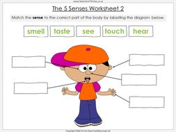 The 5 Senses - KS1 | Teaching Resources