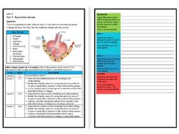 Btec Sport - Level 3 - Unit 1 - Structure Strip - Gaseous Exchange (Respiratory System ...