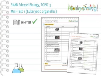 SNAB Biology Topic 3 - 16x Mini-tests | Teaching Resources