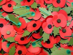 Remembrance - why people wear poppies - reading comprehension ...