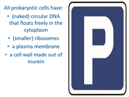 Structure of prokaryotic cells (AQA A-level Biology) | Teaching Resources