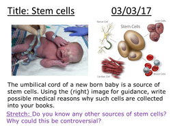 Stem cells - complete lesson (GCSE 1-9) | Teaching Resources