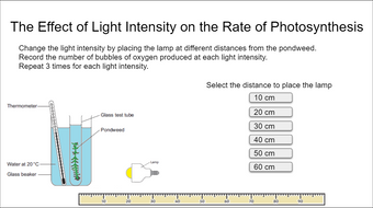 Effect of Light Intensity on the rate of Photosynthesis | Teaching ...