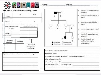 AQA GCSE Biology - Genetics Lesson Bundle (4.6.1) (B13) | Teaching ...