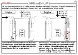 GCSE Biology Worksheet Pack on Gas Exchange (Breathing Topic ...