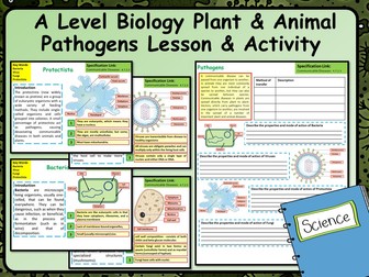 OCR A Level Biology Immunity & Communicable Diseases Bundle | Teaching ...