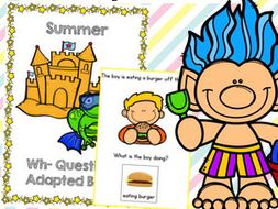 Summer Wh- Questions, Adapted Book | Teaching Resources