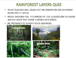 Geography Biomes, layers of the tropical rainforest | Teaching Resources