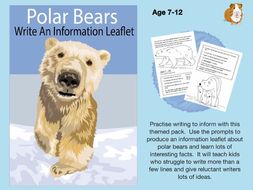 Write An Information Leaflet About Polar Bears (7-13 years) | Teaching ...