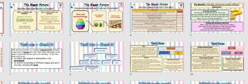GCSE AQA PSYCHOLOGY (9-1) - Nervous system | Teaching Resources GCSE AQA PSYCHOLOGY (9-1) - Nervous system | Teaching Resources