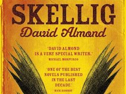Skellig - Guided Reading unit (Year 5) | Teaching Resources