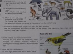 Year 3 Science Revision Notes Bundle | Teaching Resources