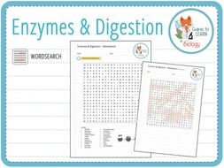 Enzymes and digestion - Crossword puzzle (KS3/4) | Teaching Resources