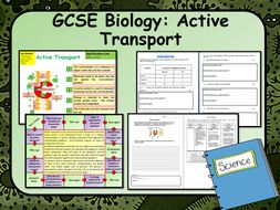 AQA 2016 GCSE Biology (Science) Spec Active Transport Lesson | Teaching ...