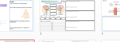 B5 Nervous System Reflexes And Synapse Aqa 9 1 Gcse Revision Teaching Resources