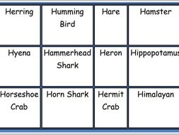 15 Animals in Alphabetical Order from A to Z | Teaching Resources