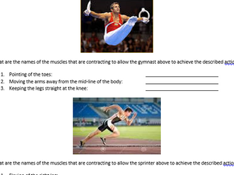 GCSE PE AQA New 2016 muscular & skeletal system by jpridmore - Teaching ...