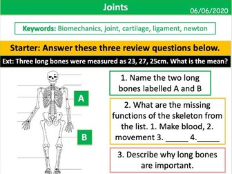 Structure and Function of Body Systems (Activate KS3) | Teaching Resources