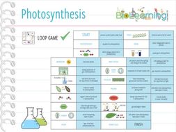 Photosynthesis - Loop Game (KS3/4) | Teaching Resources
