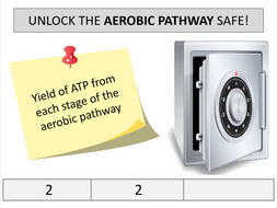 Aerobic energy pathway (Edexcel A-level PE) | Teaching Resources