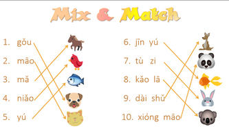 My Pet (Mandarin Chinese) | Teaching Resources