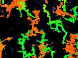 A Level Biology - Cell Signalling | Teaching Resources