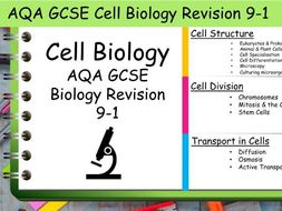 B1 Cell Biology AQA GCSE Science Biology Revision 9-1 | Teaching Resources