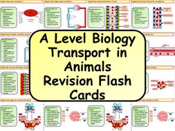 Free A Level Biology Transport in Animals Revision Flash Cards ...
