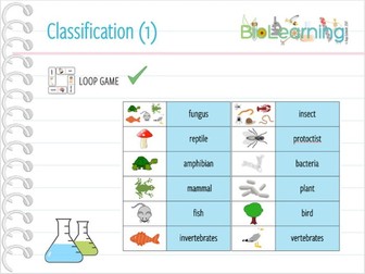 Classification - 10x Games and activities | Teaching Resources