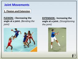 GCSE PE (Edexcel) - C1;T1.1.5 - Synovial Joints & Movement | Teaching ...