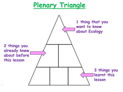 An Ecology Plenary Triangle | Teaching Resources