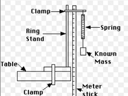 Investigating Hooke's law - Physics GCSE | Teaching Resources