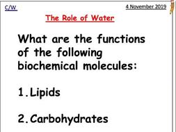 The biological importance of water | Teaching Resources