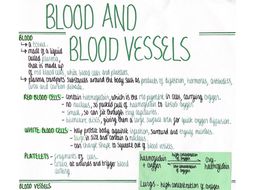 Blood and Blood Vessels (Organisation) Revision Poster [AQA GCSE ...