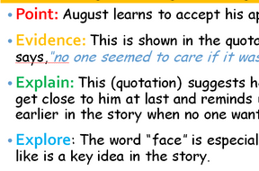 PEE paragraphs Wonder | Teaching Resources