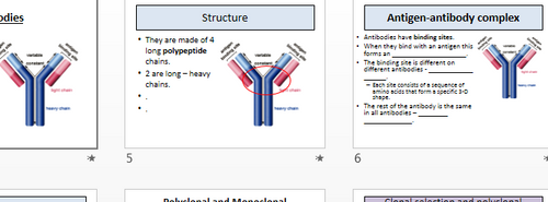 Antibodies powerpoint A level - structure and use of monoclonal ...