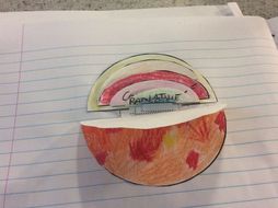 Layers of the Sun foldable including research sheet. Space physics and ...