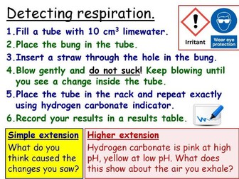Breathing and Respiration Year 8 Topic- 5 full lessons (KS3 8C) by ...