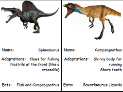 Dinosaur food chains | Teaching Resources