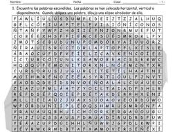 Computer Technology Spanish Word Search Worksheet | Teaching Resources