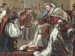 Why did Henry VIII 'break from Rome'. | Teaching Resources