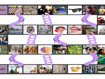 Irregular Plural Nouns 6 English Legal Photo Game Bundle by eslfungames ...