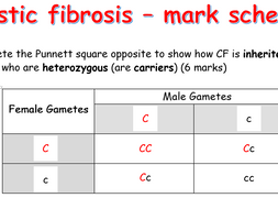 Punnet squares cystic fibrosis, polydactyl and gender | Teaching Resources