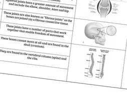 Joint Types, Structure & Function | IGCSE PE | Worksheet | Teaching ...