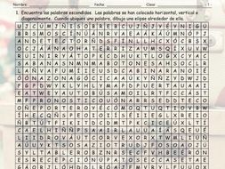 Travel Items and Modes Spanish Word Search Worksheet | Teaching Resources