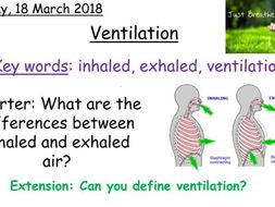 KS3 Ventilation | Teaching Resources